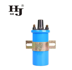 How Car Ignition Coils Work and Why They Matter - Haiyan